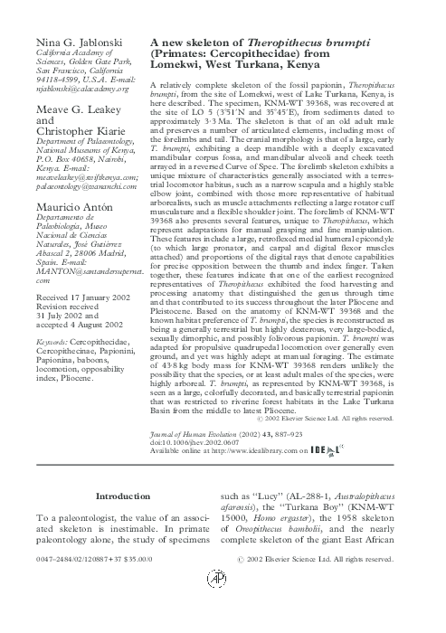 (PDF) A new skeleton of Theropithecus brumpti (Primates ...