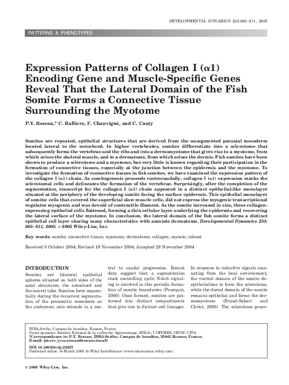 (PDF) Expression patterns of collagen I (α1) encoding gene and muscle ...