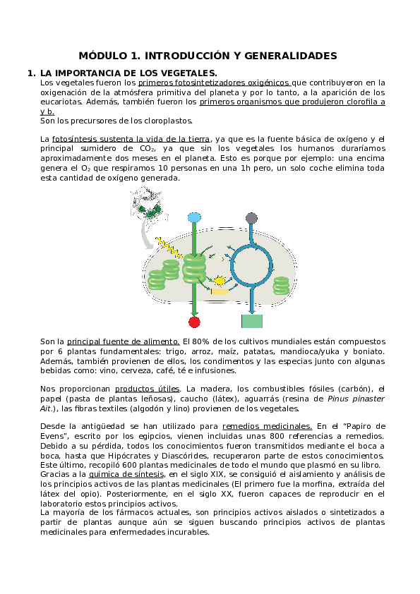 (DOC) MÓDULO 1. INTRODUCCIÓN Y GENERALIDADES