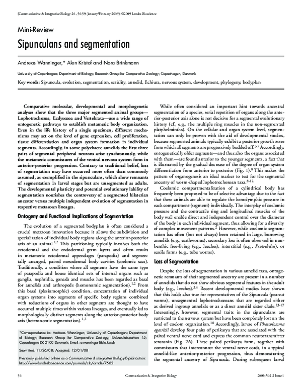 (PDF) Sipunculans and segmentation