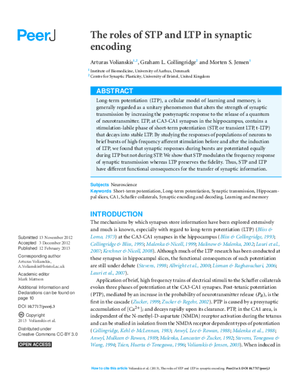 (PDF) The roles of STP and LTP in synaptic encoding (PDF) The roles of STP and LTP in synaptic encoding