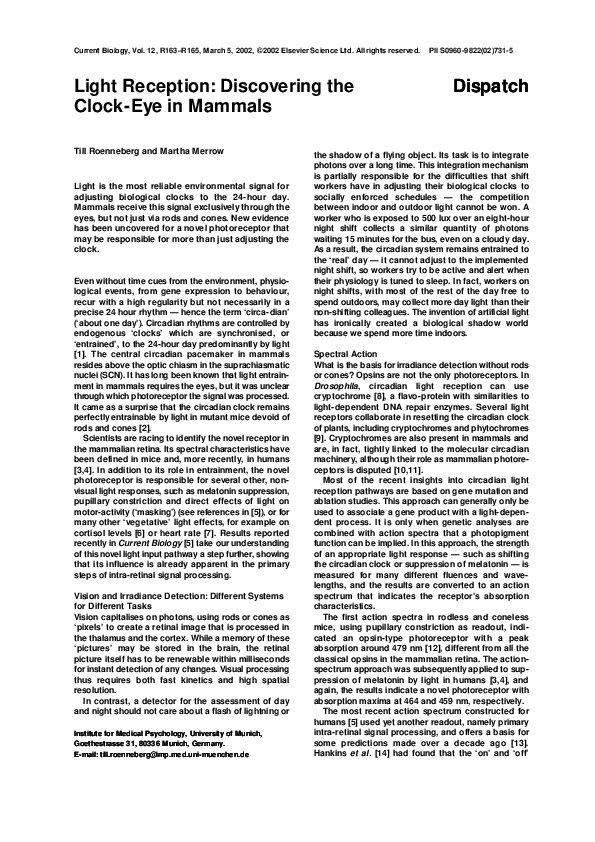 (PDF) Light Reception: Discovering the Clock-Eye in Mammals