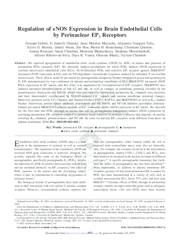 (PDF) Regulation of eNOS Expression in Brain Endothelial Cells by ...