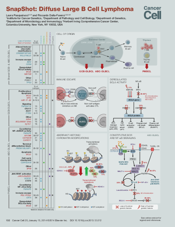 (PDF) SnapShot: Diffuse Large B Cell Lymphoma