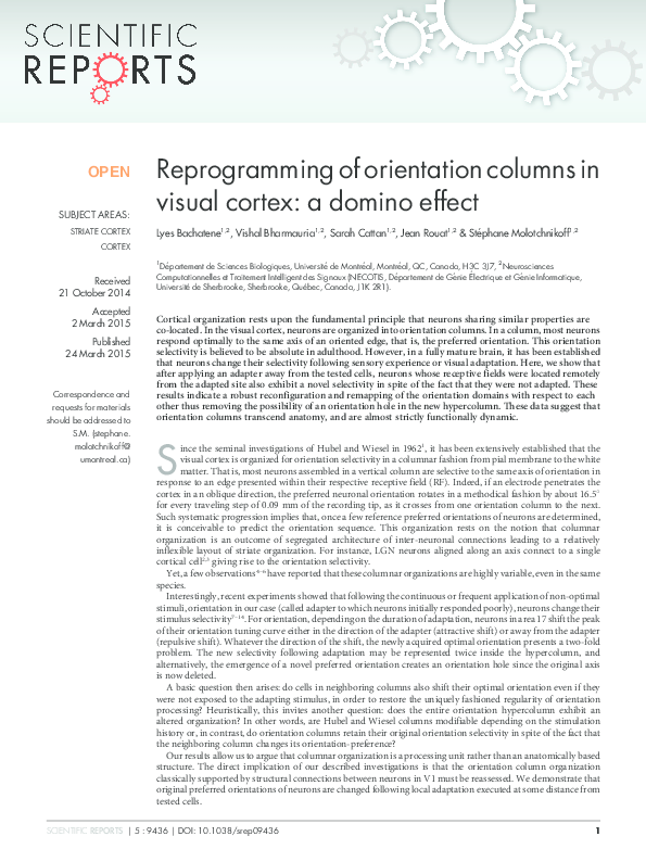 Pdf Reprogramming Of Orientation Columns In Visual Cortex A Domino Effect