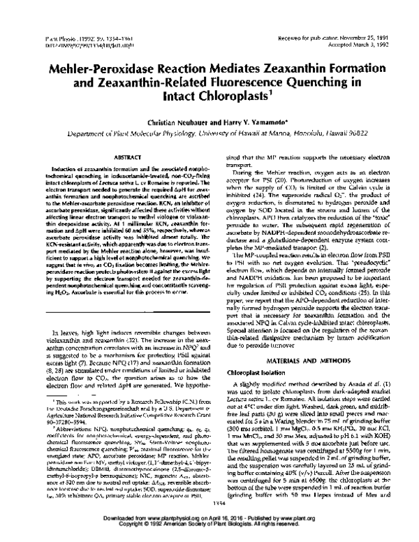 (PDF) Mehler-Peroxidase Reaction Mediates Zeaxanthin Formation and ...
