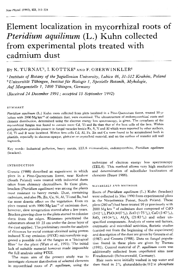 (PDF) Element localization in mycorrhizal roots of Pteridium aquilinum ...
