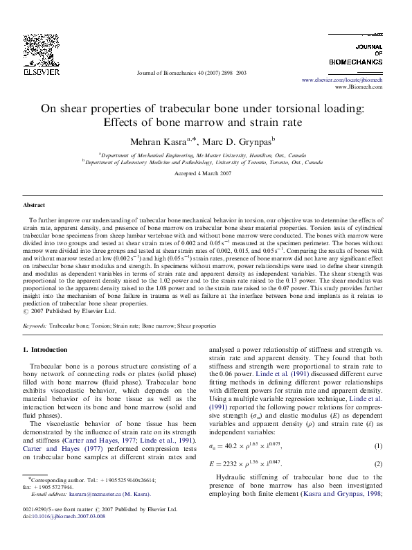 (PDF) On shear properties of trabecular bone under torsional loading ...