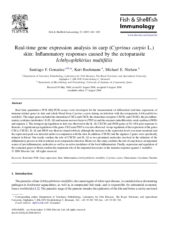 (PDF) Real-time gene expression analysis in carp (Cyprinus carpio L ...