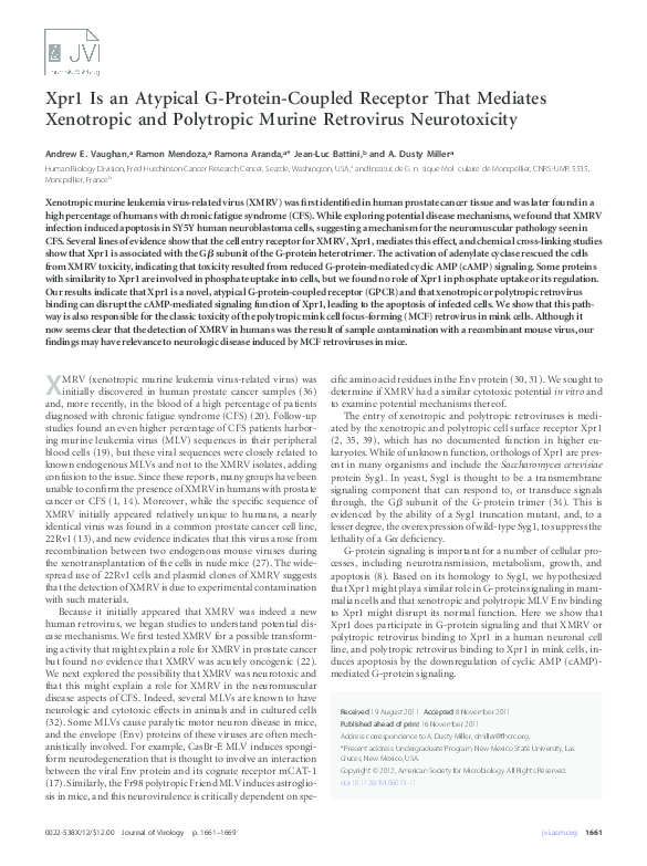 (PDF) Xpr1 is an atypical G-protein-coupled receptor that mediates ...