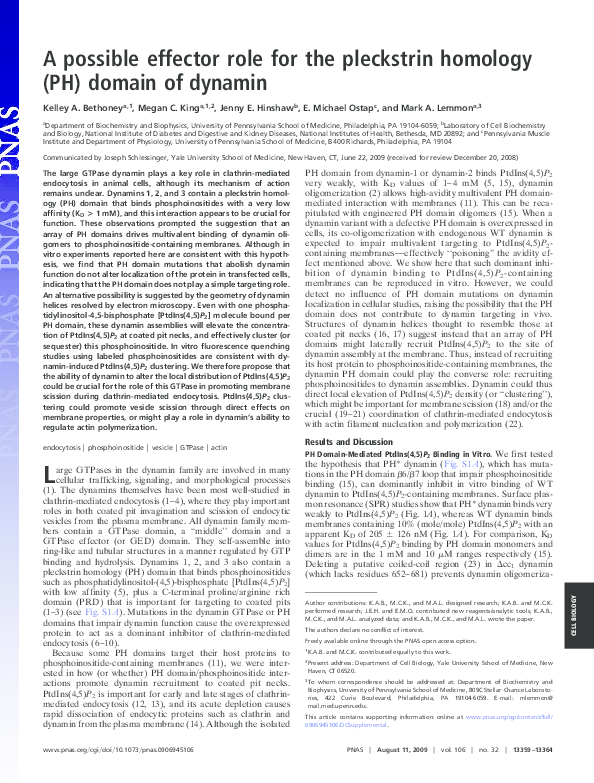 (PDF) A possible effector role for the pleckstrin homology (PH) domain ...
