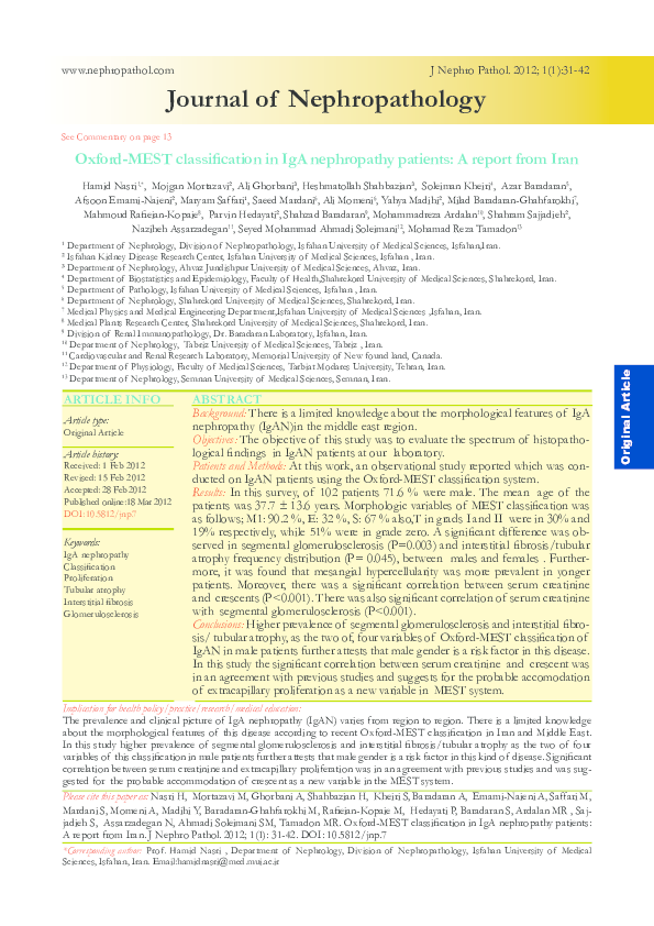 (PDF) Oxford-MEST classification in IgAnephropathy patinets: A report ...