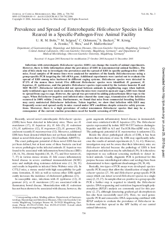 (PDF) Prevalence and Spread of Enterohepatic Helicobacter Species in ...