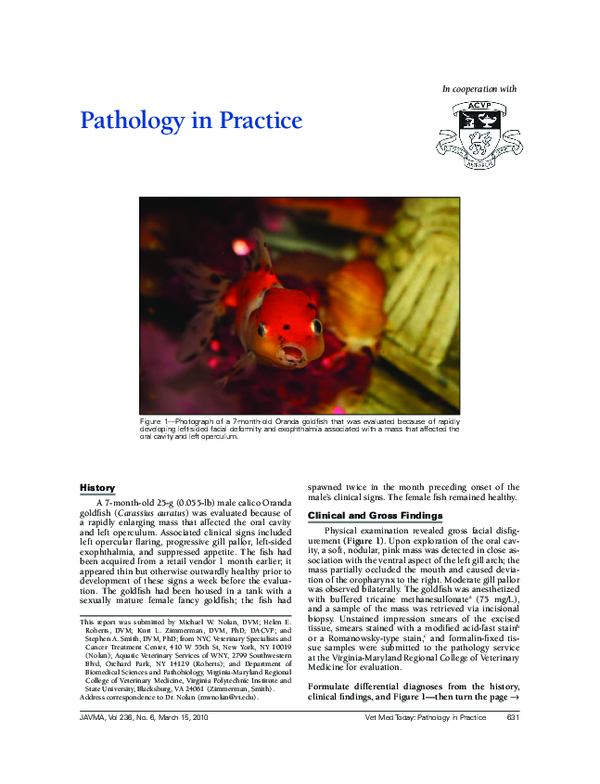 (PDF) Pathology in Practice