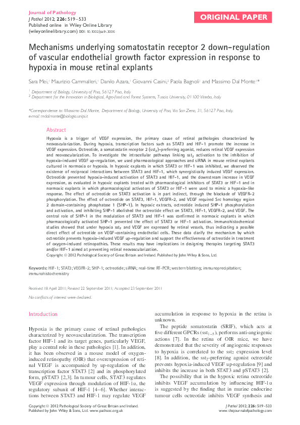 (PDF) Mechanisms underlying somatostatin receptor 2 down-regulation of ...