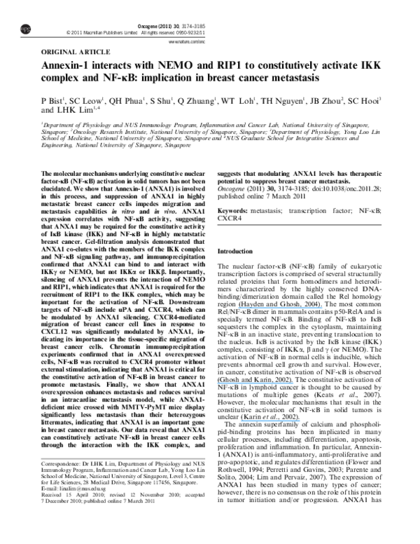 (PDF) Annexin-1 interacts with NEMO and RIP1 to constitutively activate ...