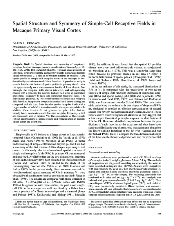 Pdf Spatial Structure And Symmetry Of Simple Cell Receptive Fields In