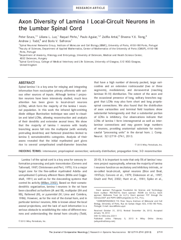 (PDF) Axon diversity of lamina I local-circuit neurons in the lumbar ...