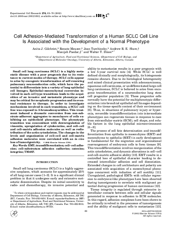 (PDF) Cell adhesion-mediated transformation of a human SCLC cell line ...