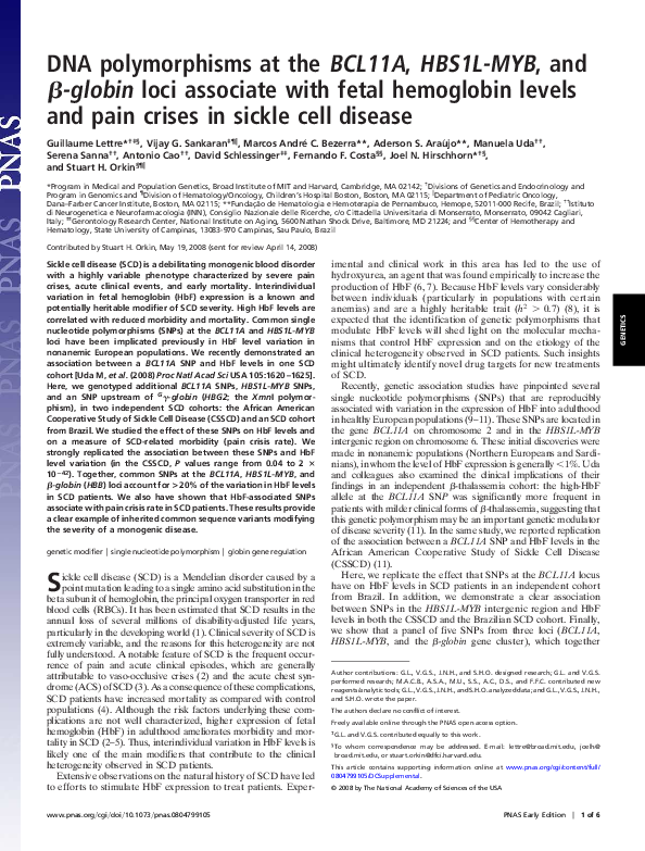 (PDF) DNA polymorphisms at the BCL11A, HBS1L-MYB, and -globin loci ...