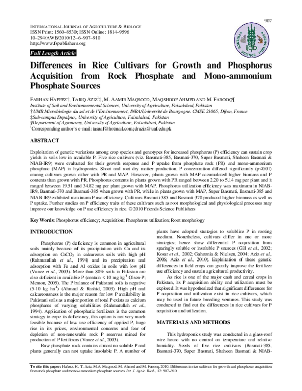 (PDF) Differences in Rice Cultivars for Growth and Phosphorus ...
