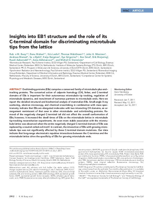 (PDF) Insights into EB1 structure and the role of its C-terminal domain ...