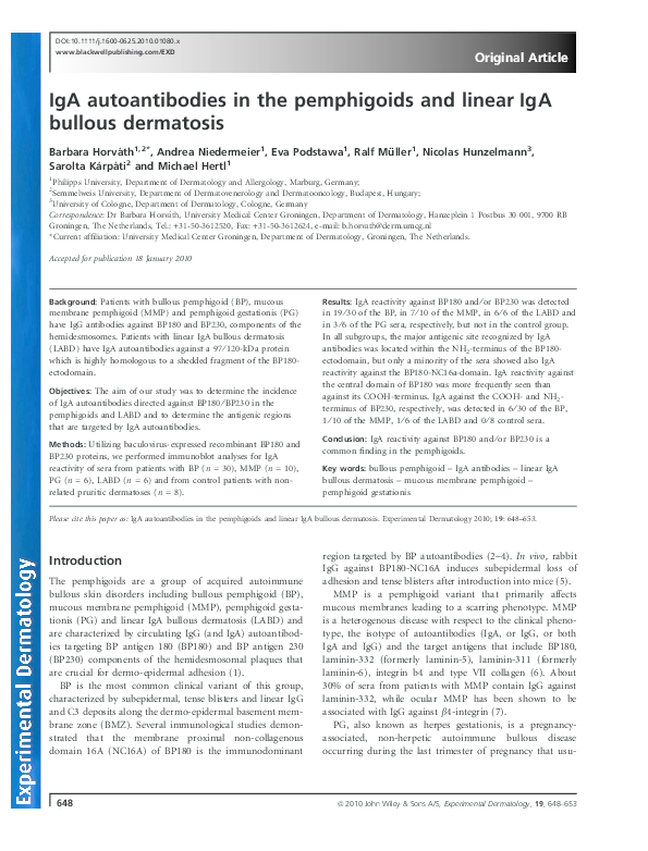 (PDF) IgA autoantibodies in the pemphigoids and linear IgA bullous ...