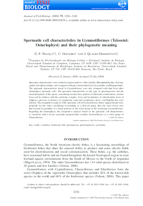 (PDF) Spermatic cell characteristics in Gymnotiformes (Teleostei ...