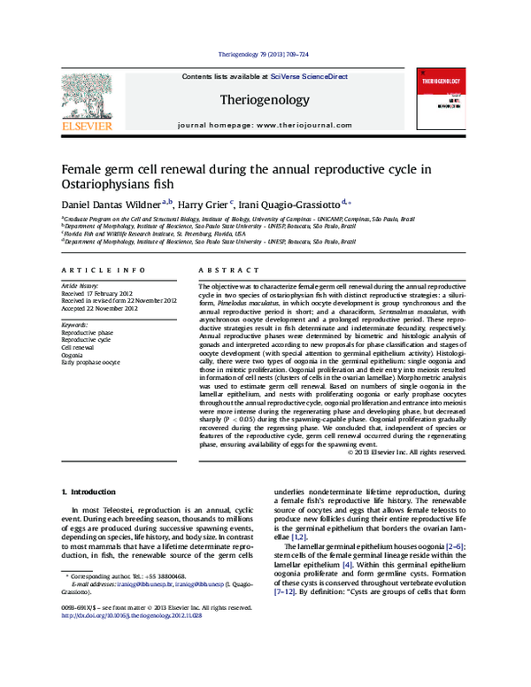 (PDF) Female germ cell renewal during the annual reproductive cycle in ...