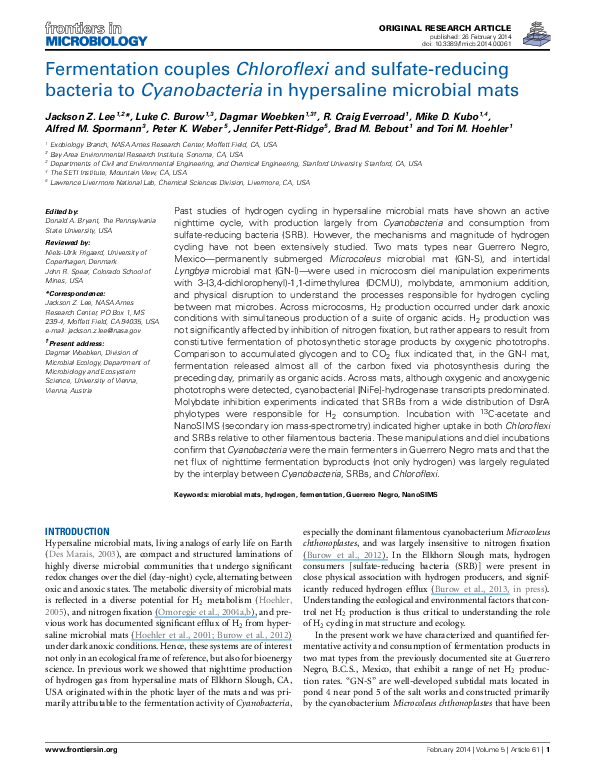(PDF) Hydrogen Cycling in Hypersaline Microbial Mats