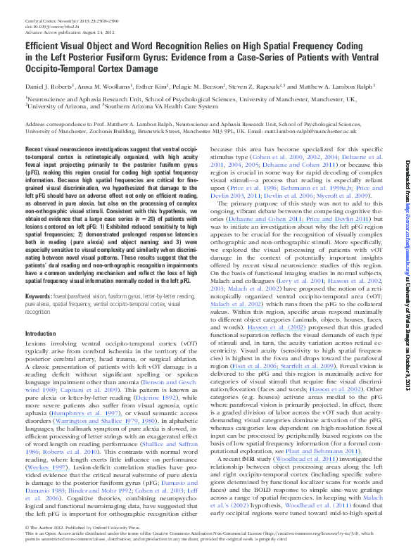 (PDF) Efficient Visual Object and Word Recognition Relies on High Spatial Frequency Coding in ...