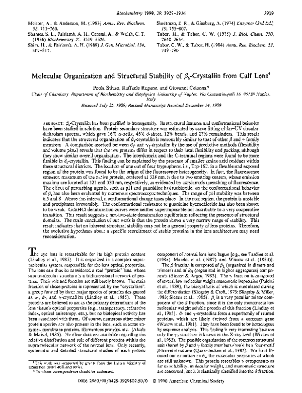 (PDF) Molecular organization and structural stability of .beta.s ...