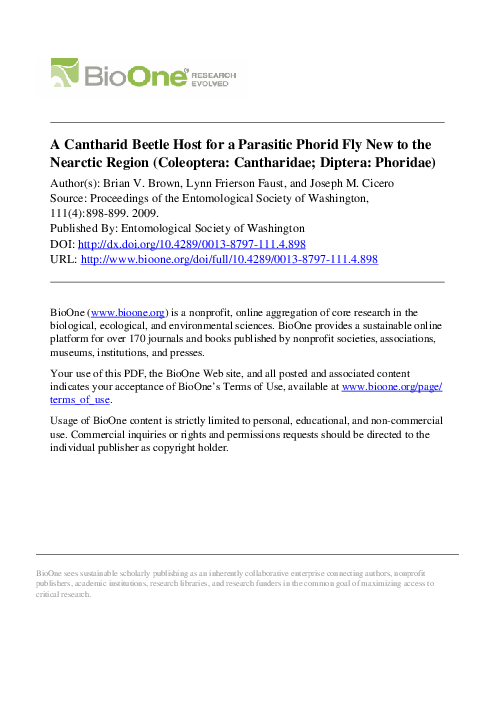 (PDF) A Cantharid Beetle Host for a Parasitic Phorid Fly New to the ...
