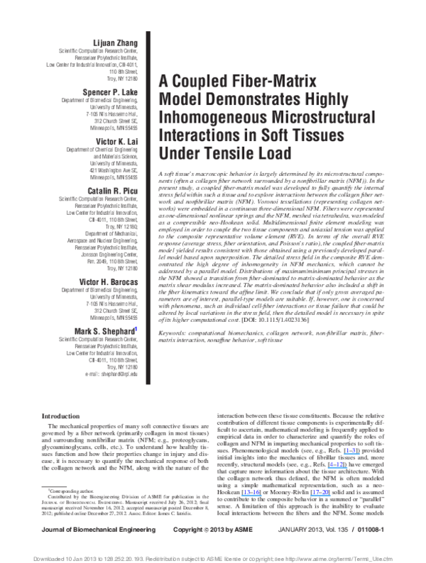 (PDF) A Coupled Fiber-Matrix Model Demonstrates Highly Inhomogeneous ...