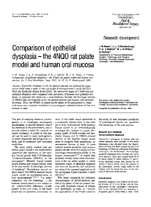 (PDF) Comparison of epithelial dysplasia--the 4NQO rat palate model and ...
