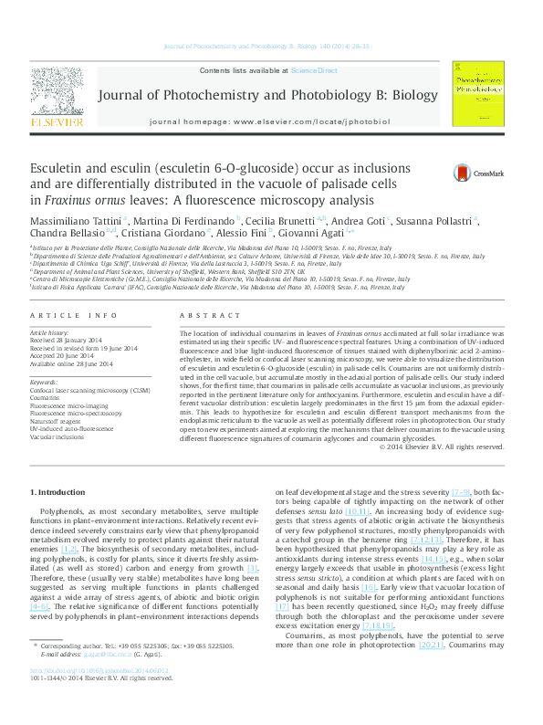 (PDF) Esculetin and esculin (esculetin 6-O-glucoside) occur as ...