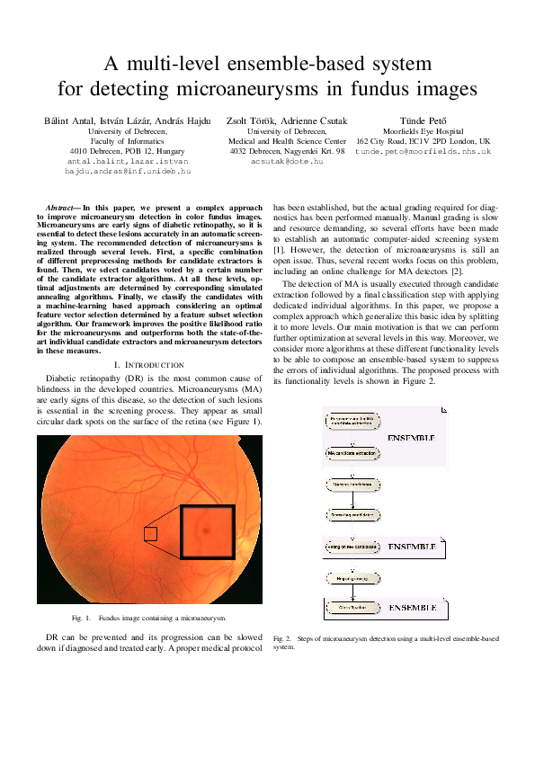 (PDF) A multi-level ensemble-based system for detecting microaneurysms in fundus images