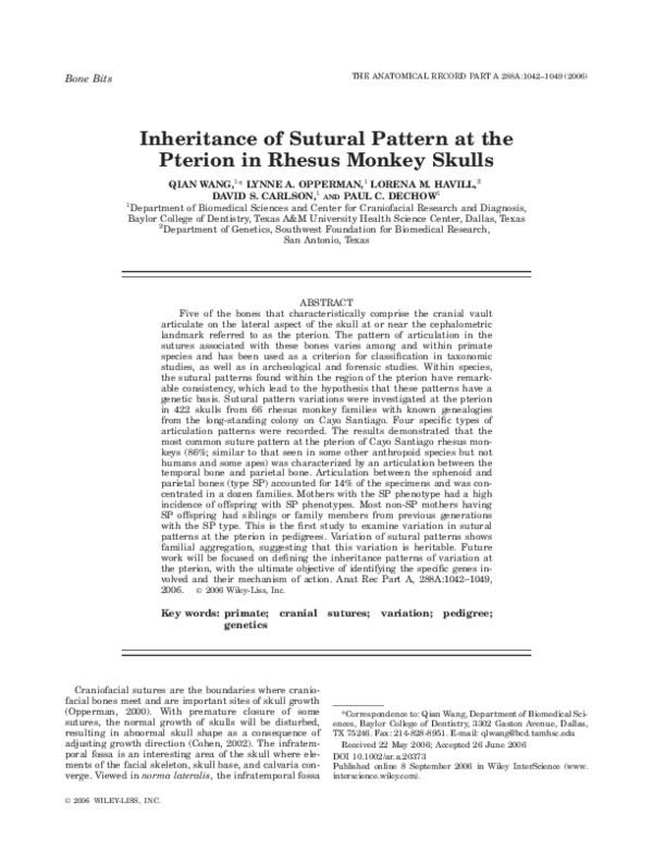 (PDF) Inheritance of sutural pattern at the pterion in rhesus monkey skulls