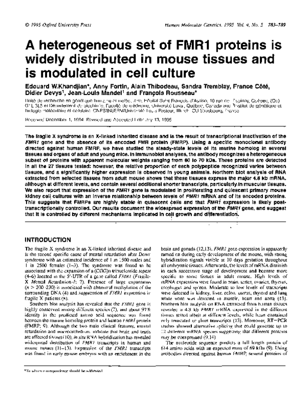 (PDF) A heterogeneous set of FMR1 proteins is widely distributed in ...