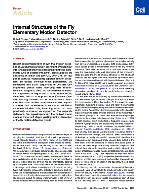 (PDF) Internal Structure of the Fly Elementary Motion Detector ...