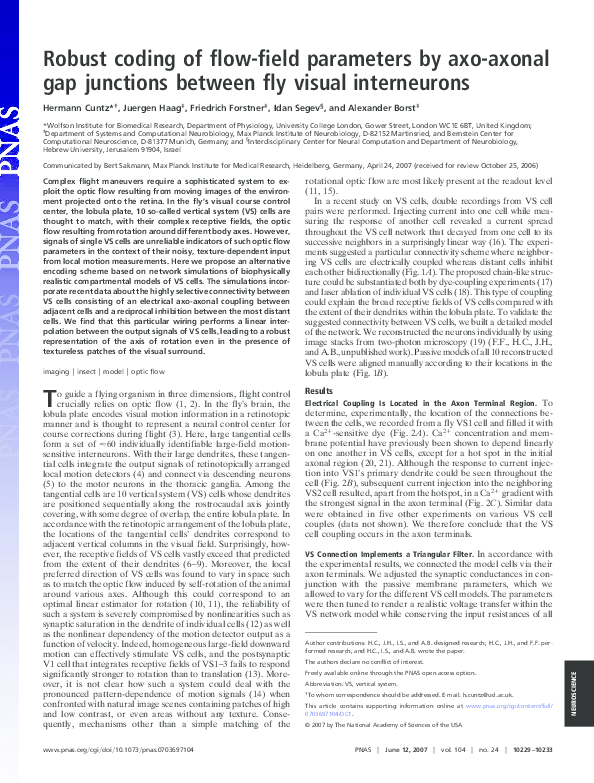 (PDF) Robust coding of flow-field parameters by axo-axonal gap junctions between fly visual ...