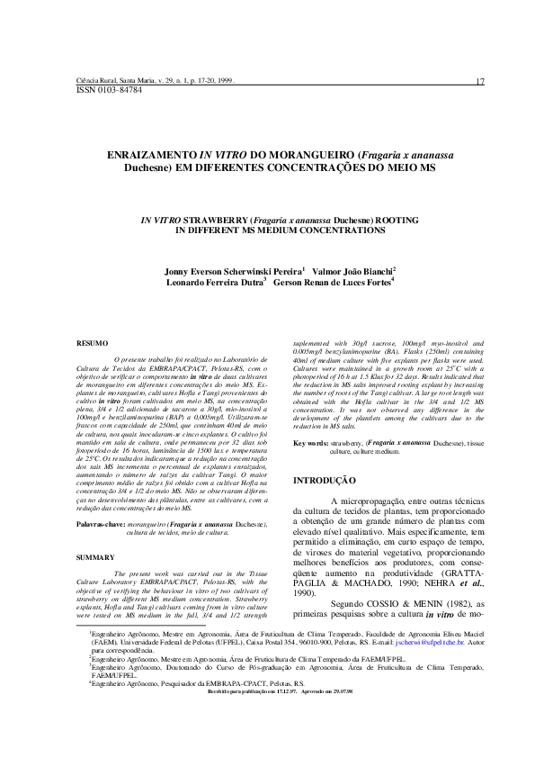 (PDF) Enraizamento In Vitro Do Morangueiro (Fragaria X Ananassa ...