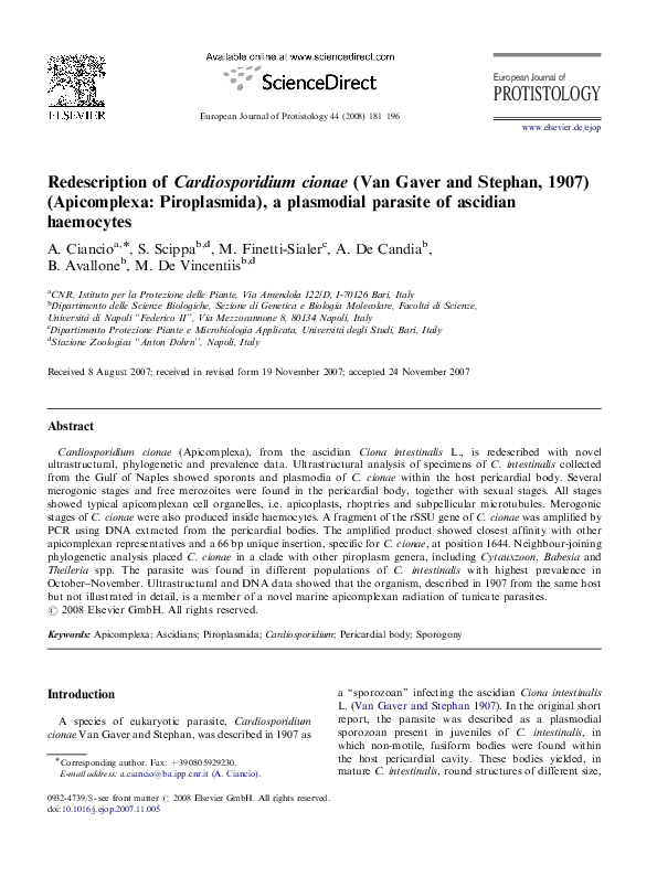 (PDF) Redescription of Cardiosporidium cionae (Van Gaver and Stephan ...