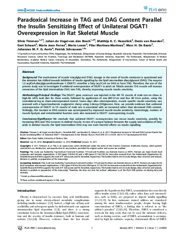 (PDF) Paradoxical increase in TAG and DAG content parallel the insulin ...