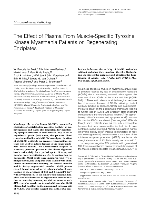 (PDF) The Effect of Plasma From Muscle-Specific Tyrosine Kinase ...