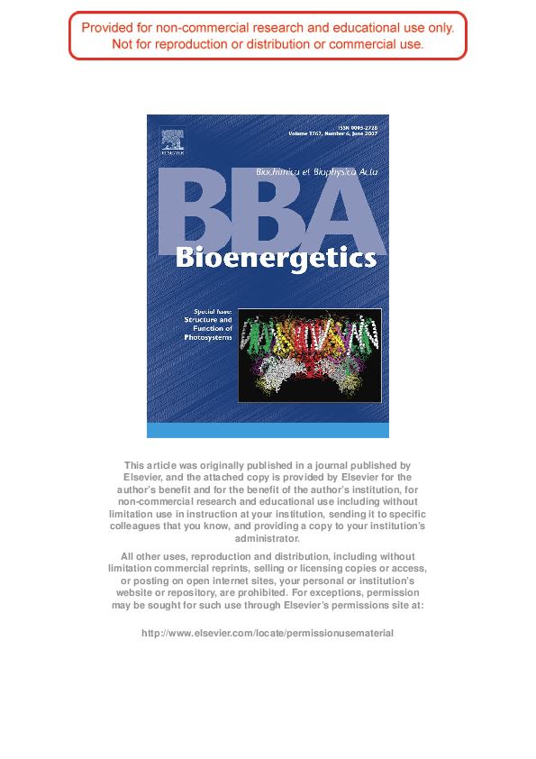 (PDF) Insights into the function of PsbR protein in Arabidopsis thaliana