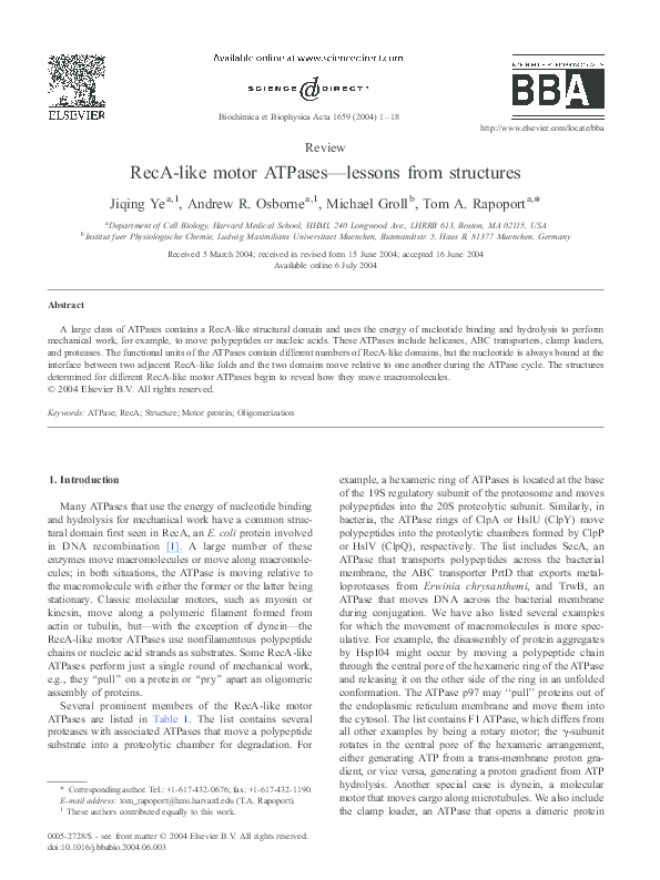 (PDF) RecA-like motor ATPases—lessons from structures J. Ye, AR Osborne ...