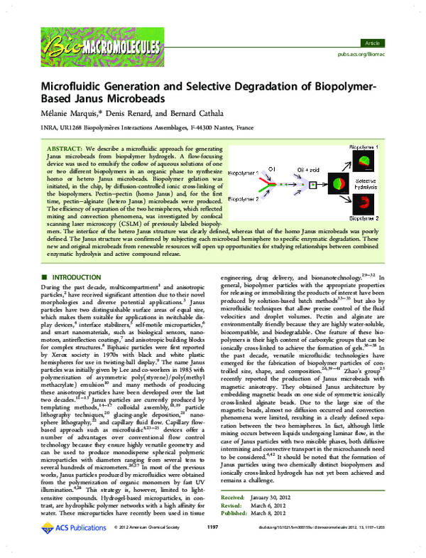(PDF) Microfluidic Generation and Selective Degradation of Biopolymer ...