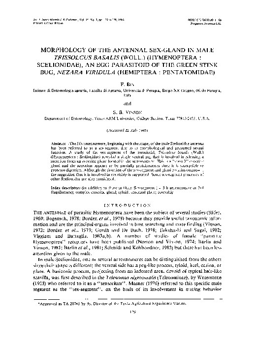 (PDF) Morphology of the antennal sex-gland in male Trissolcus basalis ...