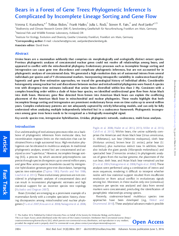 (PDF) Bears in a forest of gene trees: phylogenetic inference is ...